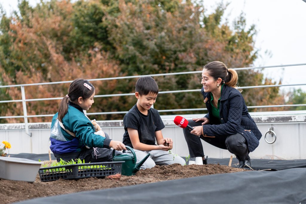 American School in Japan – Tokyo International Schools Portal